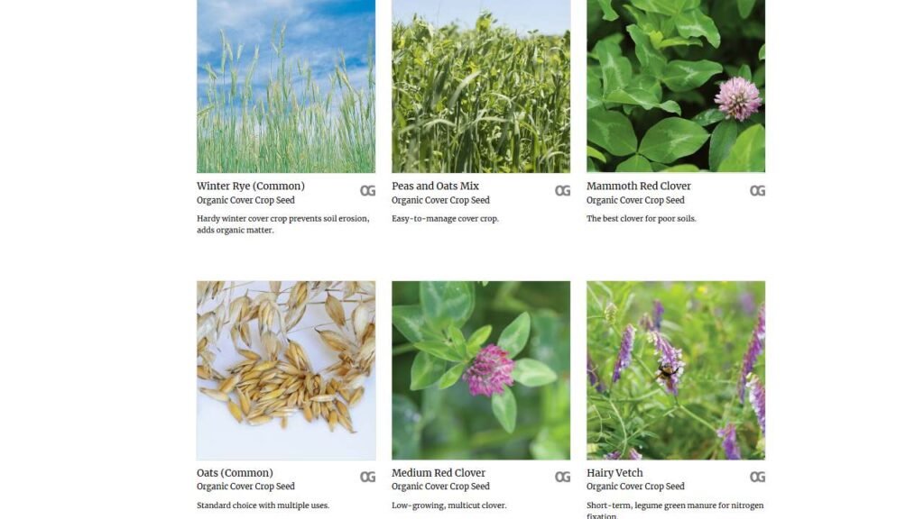 11 Best Organic Heirloom Seed Companies