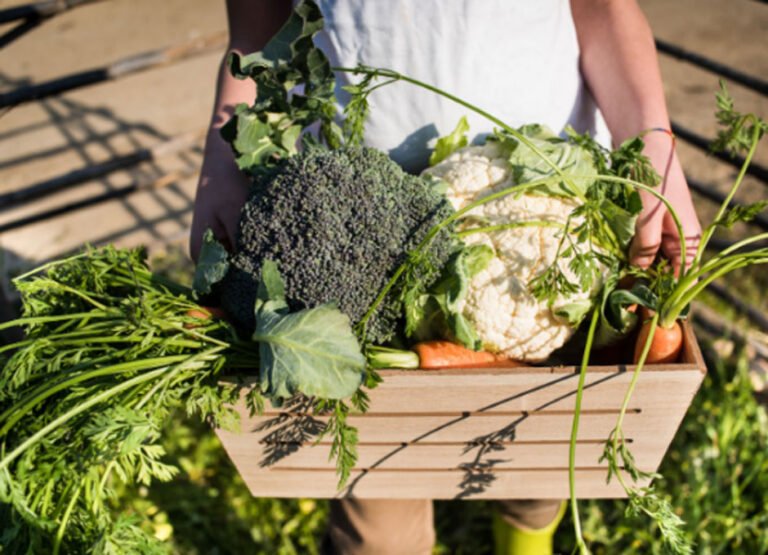 Essential Tips for Staying Healthy While Being Eco-Conscious