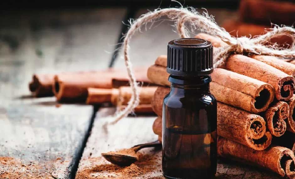 Discover the Top Uses of Cinnamon Clove Oil - greenecodream.com