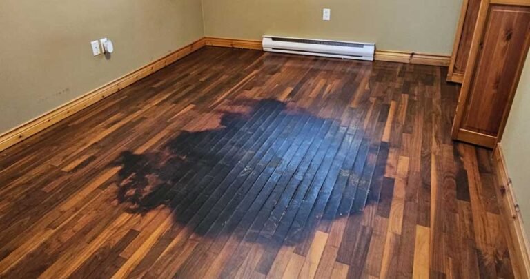 Ruve Robertson: Background, Modeling Career, Marriage to Neal McDonagh ...