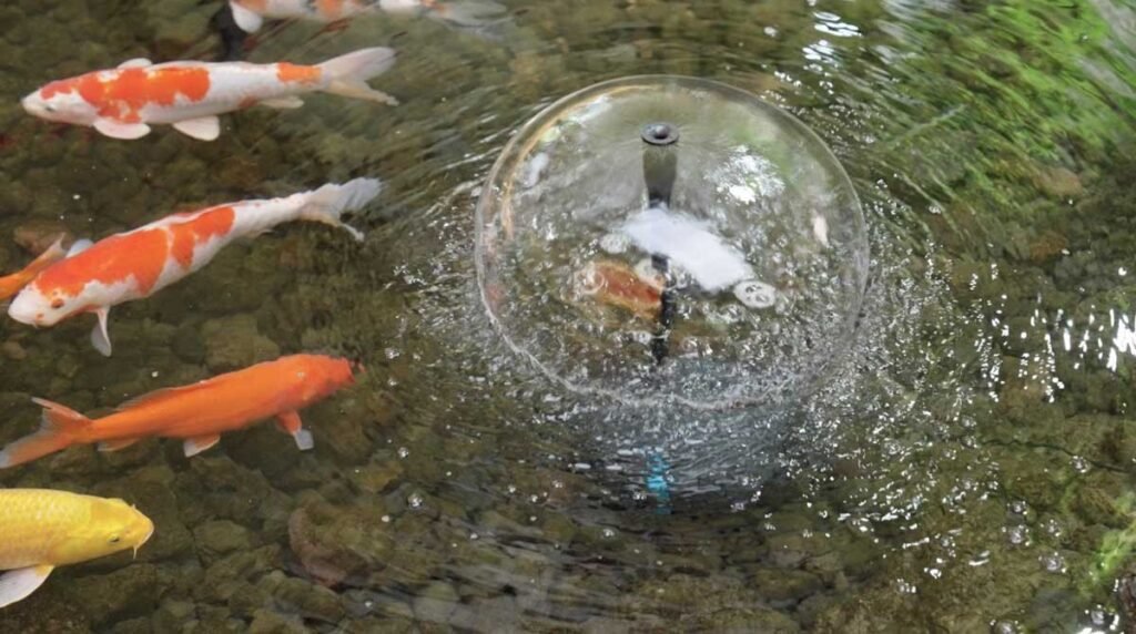 Solar Fountains: How They Work and Why They Are Great for Your Garden ...